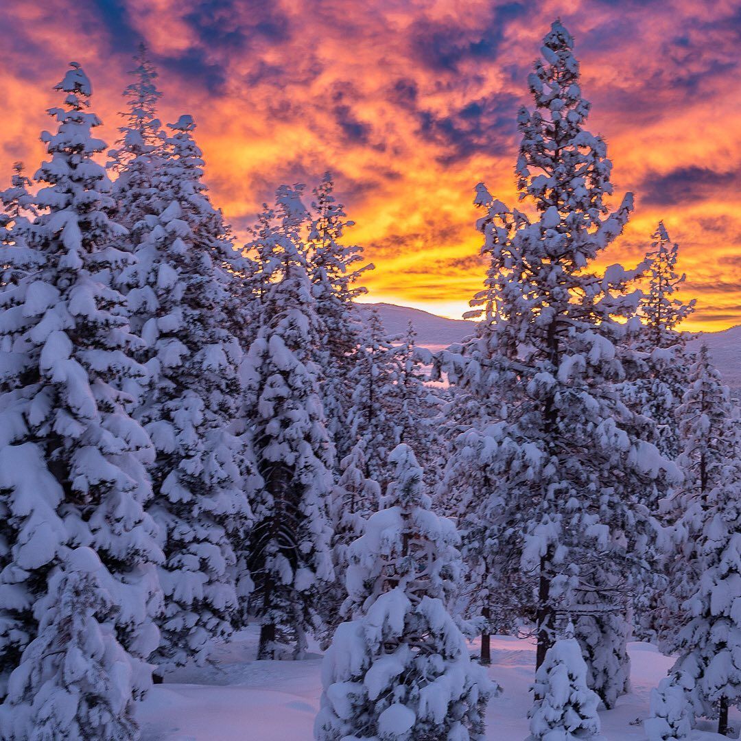 Tahoe Donner | Lake Tahoe