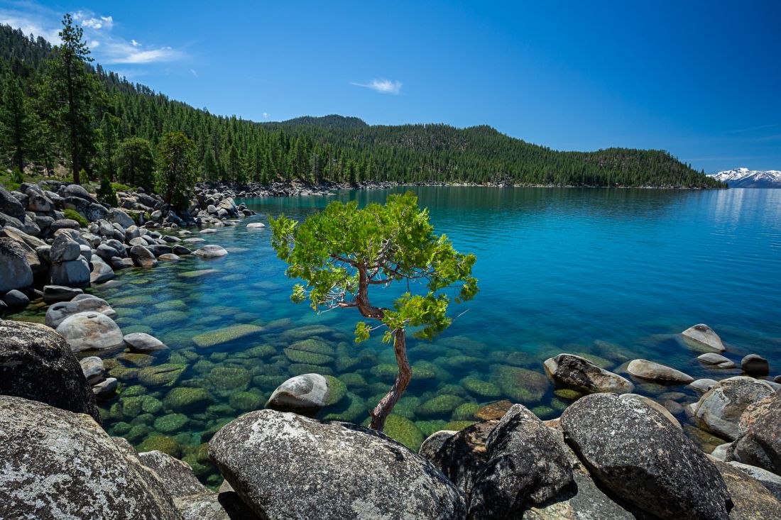 Gallery | Lake Tahoe Photo Gallery | Lake Tahoe