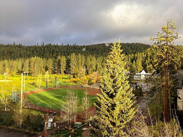 Pepper Tree Inn | Lake Tahoe