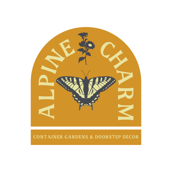 Alpine Charm | Lake Tahoe